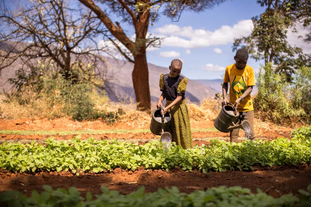 Donate to Support Climate Resilience - Global Impact